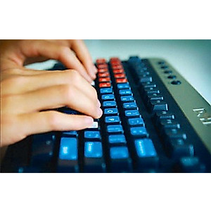 Learn to Type Keyboard Stickers Touch Typing for Kids and Adults Easily Applied to All Keyboards