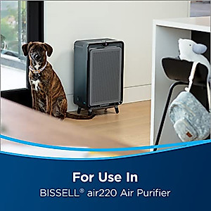 BISSELL air220 Air Purifier Replacement Pet Pro Filter Pack, 3289