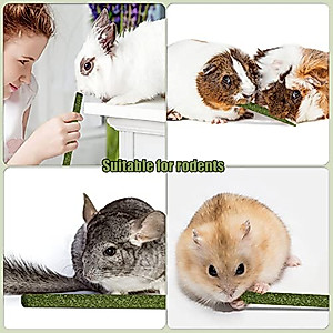 DELEMI 20pcs Natural Timothy Hay Sticks,Guinea Pig Chinchilla Rabbits Chew Toys Small Animals Treats Bunny Toys,Timothy Grass Molar Sticks Good for Pets Rats Bunny Teeth Health (Timothy Hay Sticks)