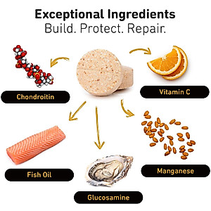 International Veterinary Sciences IVS Arthramine MAX Healthy Joints Glucosamine Supplement for Dogs with Fish Oil, Hyaluronic Acid, MSM, and Vitamin C, Made in the USA, 60 Count