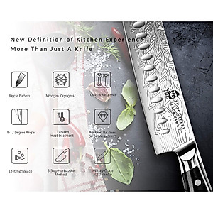 TUO Santoku Knife - Japanese Chef Knife 7-inch High Carbon Stainless Steel - Kitchen Knives with G10 Full Tang Handle - Black Hawk-S Knives Including Gift Box