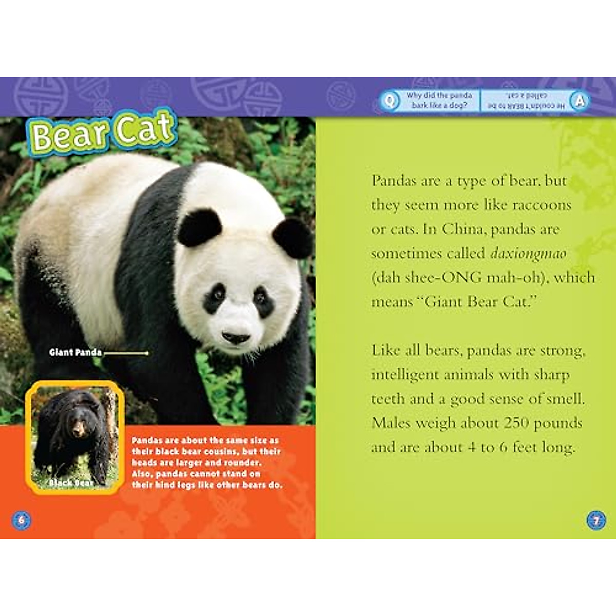 Pandas (National Geographic Kids Readers, Level 2)
