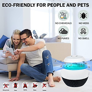 Hodiax Nap n Trap! Mini Indoor Mosquito Killer, Insects and Fly Trap with USB Power Cord, Desktop Small Non Zapper for Pest Control with LED Night Light (2 Pack)