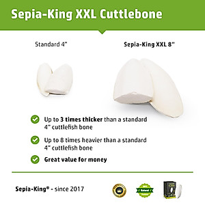 Sepia King - Extra Large - 100% Natural Calcium Supplement - Premium Cuttlebone perfect for Birds, Tortoises, Snails, Reptiles - Pack of 3