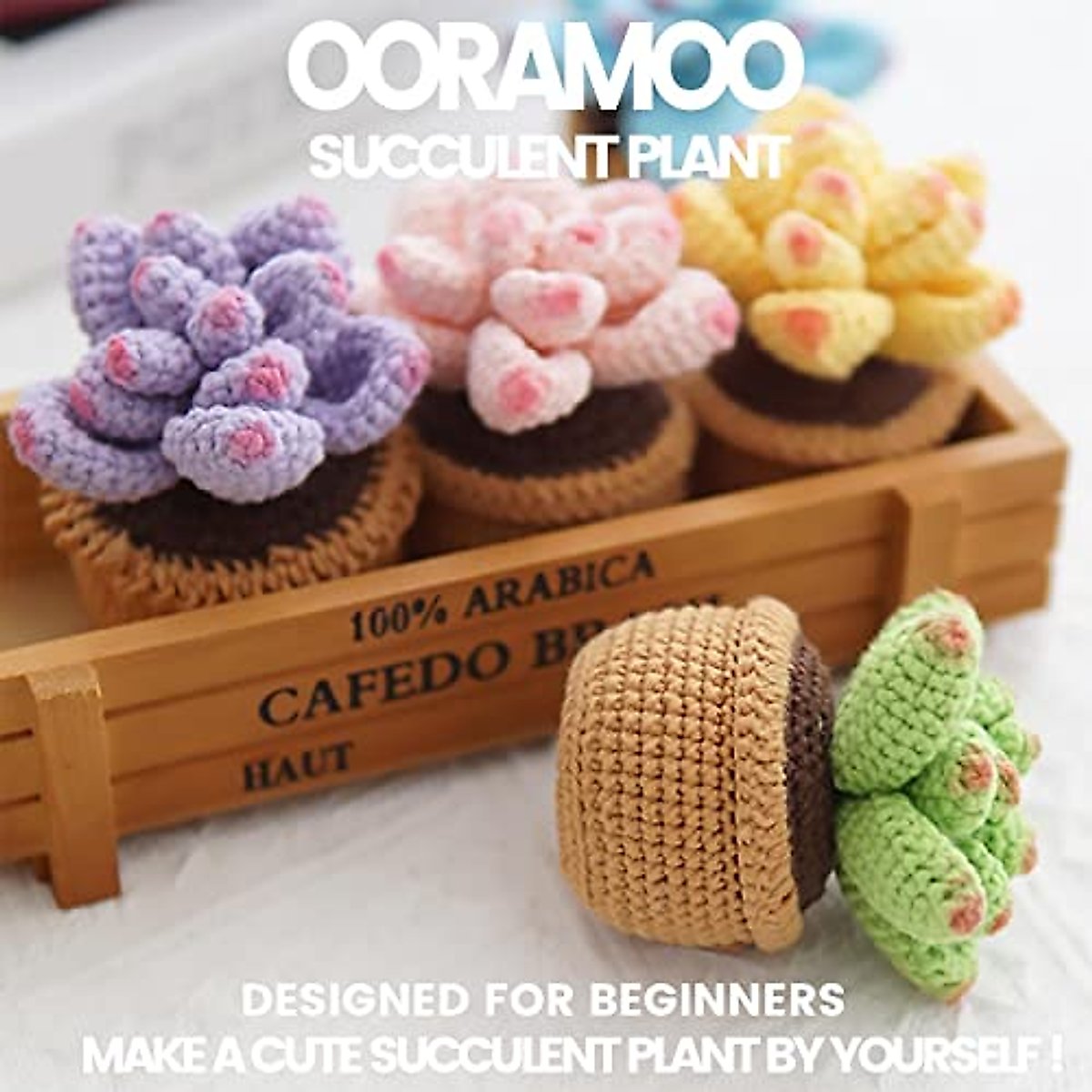 OORAMOO Crochet Kit for Beginners - 4Pcs Succulents, Beginner Crochet Starter Kit for Complete Beginners Adults, Crocheting Knitting Kit with Step-by-Step Video Tutorials