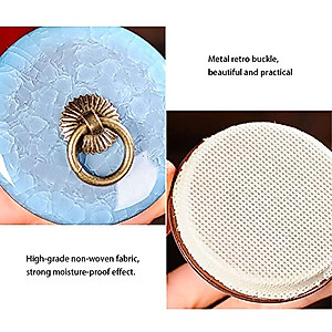 Urn for Human Ashes,Small Urns for Human Ashes Cat Urns for Ashes Dog Urn Decorative Urns Beautiful Small Sharing Funeral Urn with Black Gift Box (Blue)