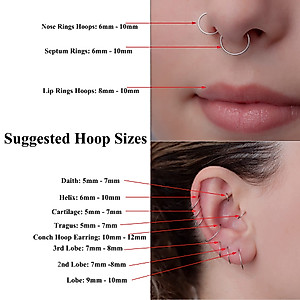 Aumeo 14G 16G 18G 20G Nose Ring Hoop Stainless Steel Hinged Segment Ring Hoop Nose Clicker Ring Tragus Helix Cartilage Daith Rook Earring Piercing Jewelry for Women Men(5pcs 20g 8mm mixed colors)