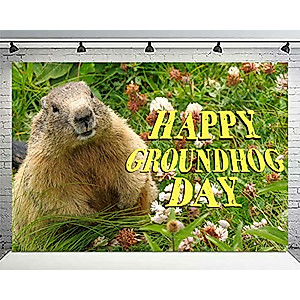 Happy Groundhog Day Banner Background Realistic Cute Animals Flowers Green Grass Theme Decor for 1st Birthday Party Spring February 2nd Holidays Festival Groundhog Day Supplies Favors Decorations