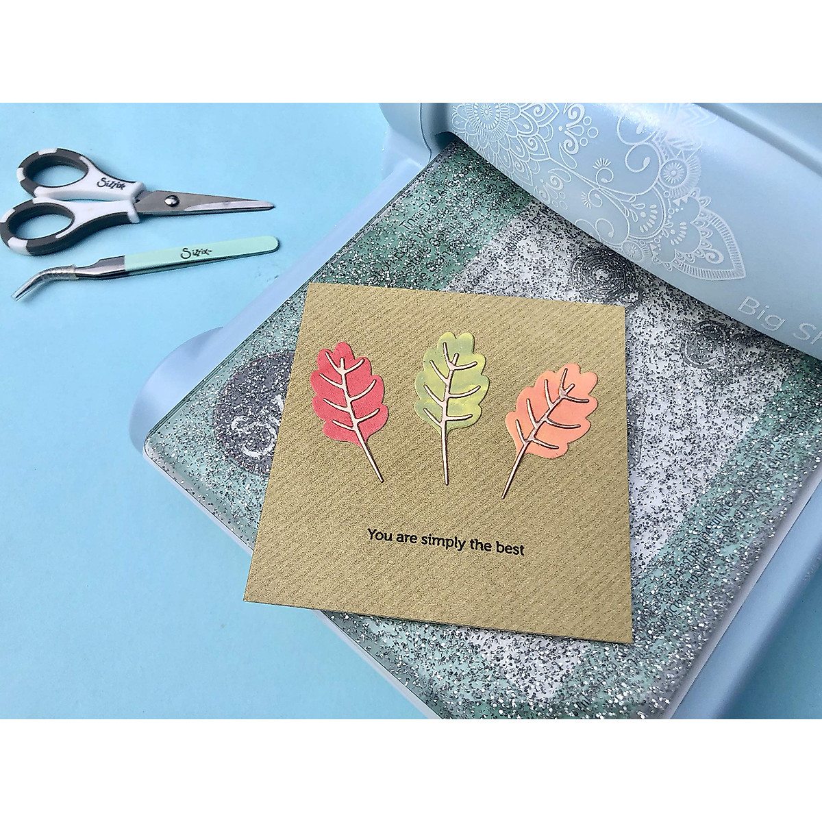 Sizzix Thinlits Die Set 17PK - Funky Floral #1