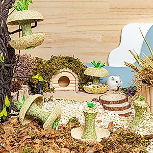 LUOZZY Hamster Chew Toys for Teeth Grinding Chinchilla Teeth Grinding Toys Portable Hamster Treat Chew Toys for Dwarf Hamsters Rat Guinea Pigs