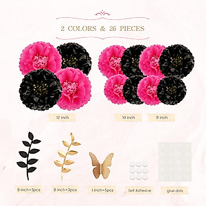 Fonder Mols Tissue Paper Flowers Pom Poms Blooms(Black & Hot Pink, 12pcs) for Bridal Shower Bachelorette Birthday Party Nursery Wall Decorations, Hot Pink and Black Party Decorations