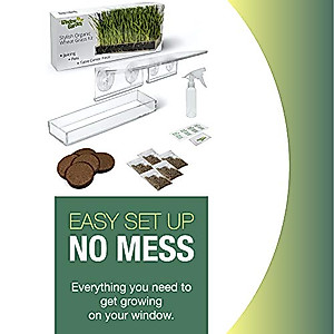 Window Garden Double Veg Ledge Shelf Organic Wheatgrass Kit Bundle (5) -Enough Pre-Measure Seeds, Fiber Soil to Grow 5 Trays on Your Indoor Window. Superfood Healthy Benefits for You and Your Cat.