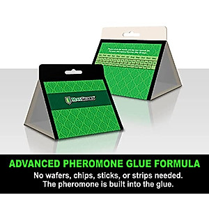 Maxguard Pantry Moth Traps (8 Pack) with Extra Strength Pheromones | Non-Toxic Sticky Glue Trap for Food and Cupboard Moths in Your Kitchen | Trap & Kill Pantry Pests |