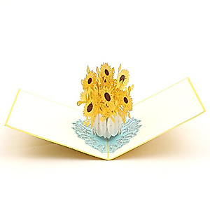 Liif 3D Greeting Pop Up Get Well Card, Get Well Soon Card (Sunflower)