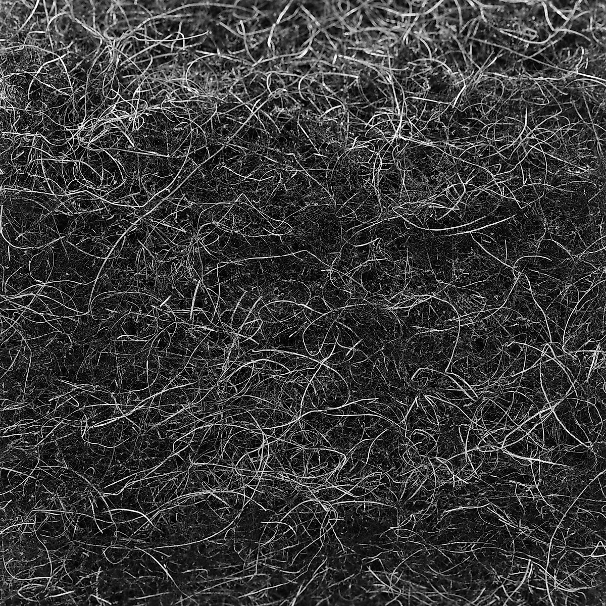 Xcluder Flying & Crawling Bug Barrier, 1" x 48" Stainless Steel Wool Roll, Non Corrosive and Anti-Rust Material Keeps Bugs and Insects Out of Any Building or Home