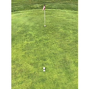 Golf Ball Marker (Triple Track) (Red and Blue, 2 Pack)