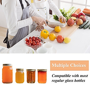 100-Count, Regular Mouth Canning Lids for Ball, Kerr Jars - Split-Type Metal Mason Jar Lids for Canning - Food Grade Material, 100% Fit & Airtight for Regular Mouth Jars