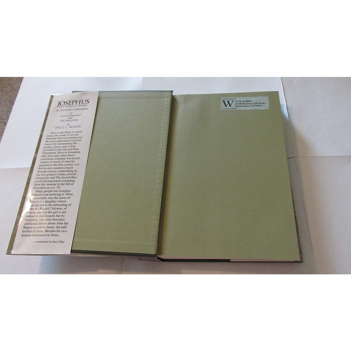 Josephus: The Essential Works