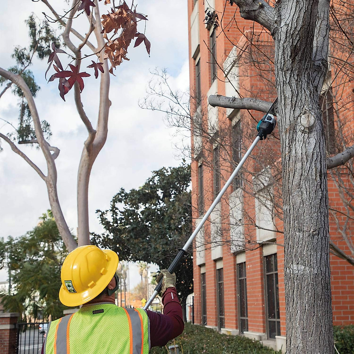 Makita XAU01ZB 36V (18V X2) LXT® Brushless 10" Pole Saw, 8' Length, Tool Only