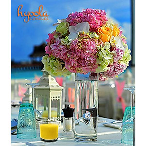 HYOOLA Clear Cup Filled Citronella Votive Candles - 12 Hour Burn Time - 12-Pack, Ideal Bug Repellent Candles, European Made