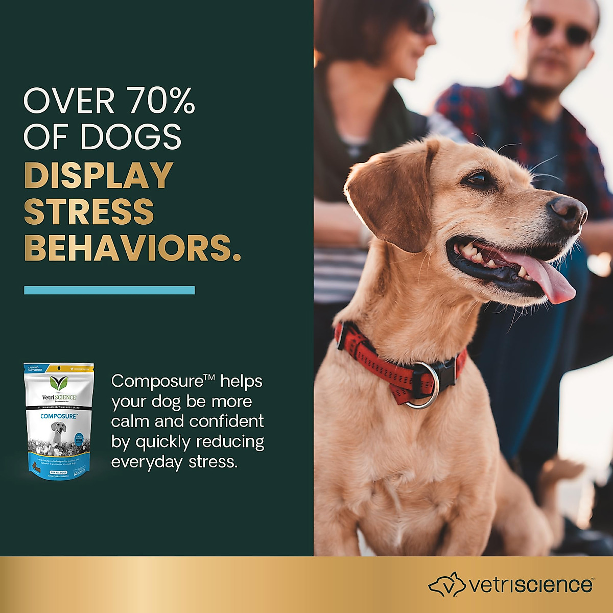 VetriScience Composure Calming Chews for Dogs - Clinically Proven Dog Anxiety Relief Supplement with Colostrum, L-Theanine & Vitamin B1 for Stress, Storms, Separation & More, 120 Count, Chicken Flavor