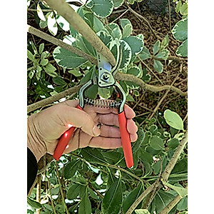 Corona Tools | ClassicCUT ClassicCUT® Branch & Stem Pruning Shears for Gardening | Cuts Branches and Stems up to 1-inch in Diameter | BP 15180