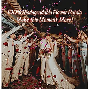 Dried Flower Petals,Dried Rose Petals for Weddings, 20 Cups(3.5Oz) Biodegradable Flower Petals Confetti,Flower Girl Proposal,Table Decorations Valentine's Day