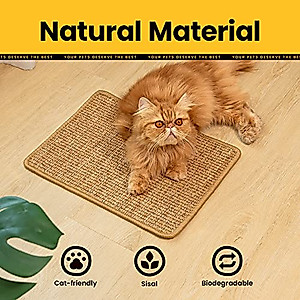Conlun Cat Scratcher Mat,Natural Sisal Cat Scratch Pad,Horizontal Floor Cat Scratching Pads Rug for Indoor Cats Grinding Claws Nails,Cat Furniture Protector for Couch & Carpets & Sofas