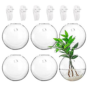 yarlung Set of 6 Wall Hanging Planters Terrarium, Glass Oblate Globe Plants Containers Wall Mount Flower Vase for Propagating Hydroponics Plants, Air Plants (Plants Not Included)