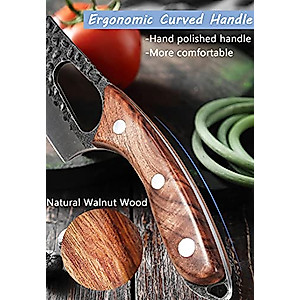 Kitory Meat Cleaver 6 inch,Viking Knife Forged Boning Knife Butcher Fishing Filet & Bait Knife, Full Tang Hammered HC Stainless Blade Walnut Wood Handle Kitchen Knife for Home, BBQ, Camping, Deboning