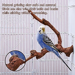 kathson Parrot Perch Stand Bird Cagestand Pole Natural Wild Grape Stick Grinding Paw Cage Accessories for Parakeet Cockatiels Budgies Conure Lovebirds Platform