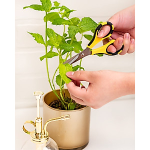 EK Success EKCB01 Cutter Bee Precision Scissors, Small