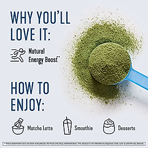 Vital Proteins Matcha Collagen Peptides Powder Supplement, Matcha Green Tea Powder, 12oz, Original Flavored