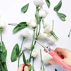Housolution Flower Scissors, Strong Floral Shears, Premium Steel Garden Pruning Shears Floral Fruits Leaf Scissors Hand Pruner Snip Trimming Tool for Gardening Flower Arrangement, Pink