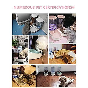 MGMNGY Pet Supplies Cat/Dog High Capacity Feeder and Water Dispenser Set, Natural Gravity Without Electricity, Water Storage Capacity 3.8L, Grain Storage Capacity 2.1kg, Blue