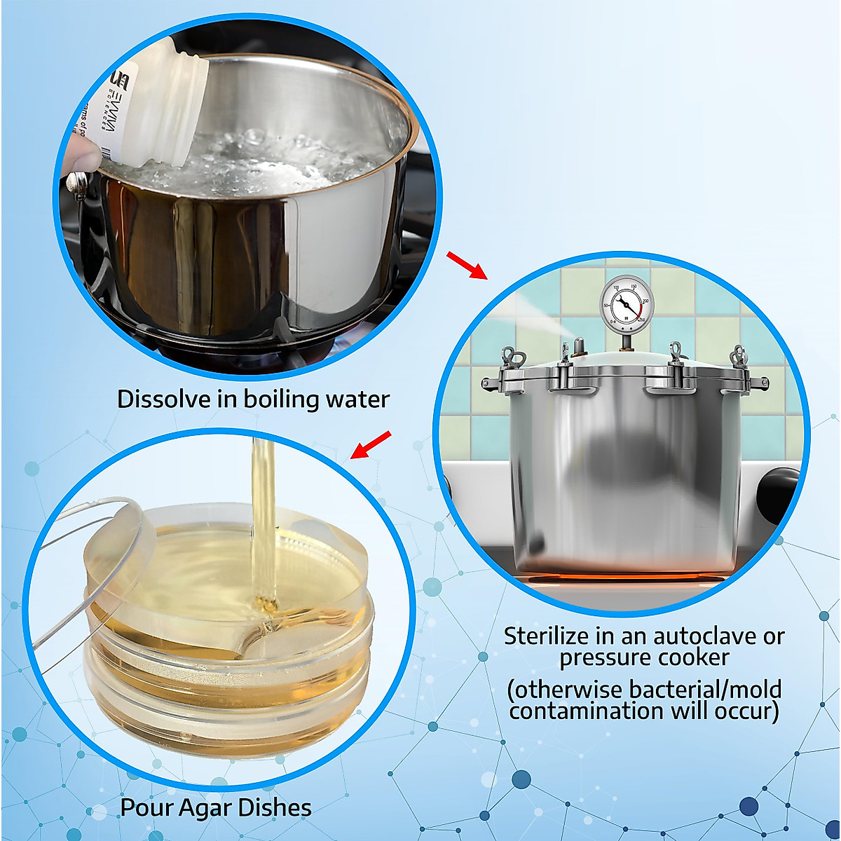 Nutrient Agar Powder 100 Grams - Evviva Sciences - Makes Over 150 to 200 Agar Petri Dishes - Easy to Use - Great Science Fair Projects - W/Experiment Ebook