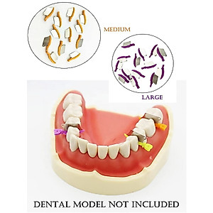 Dental Wedge Guard with Metal Plastic Knife and Protection Matrix for Teeth Interproximal Area 50pcs/box (SMALL)