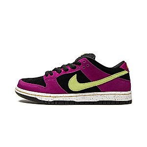 Nike Mens SB Dunk Low BQ6817 501 ACG Terra Red Plum - Size 10