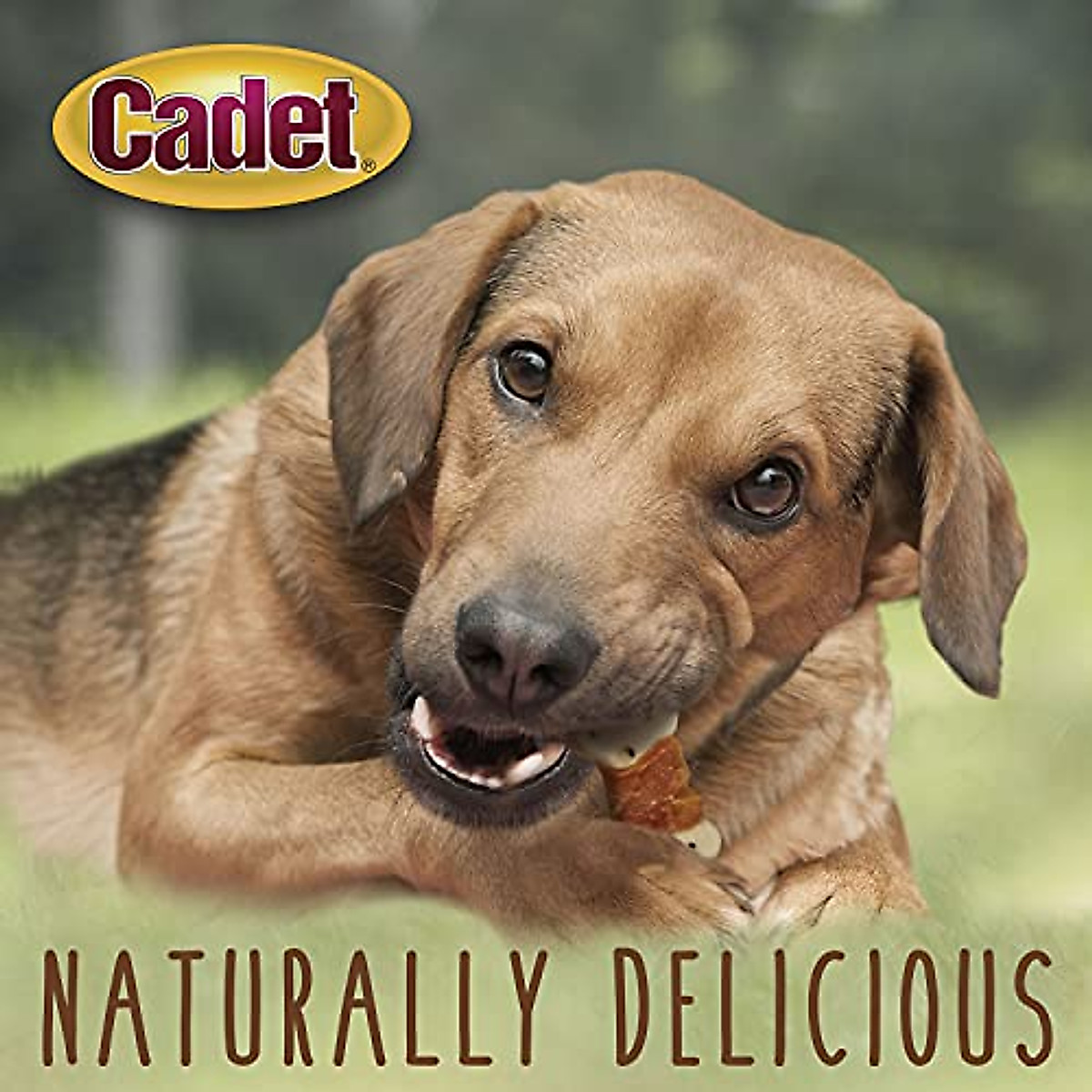Cadet Gourmet Chicken Wrapped Biscuit Dog Treats 14 oz.