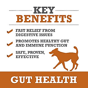 WINPRO | Dog Gut Health Supplement, Plasma-Powered Chews for Digestive Health, Fast Acting Immune Support in Dogs of All Breeds and Sizes, 60 Count, Made in USA