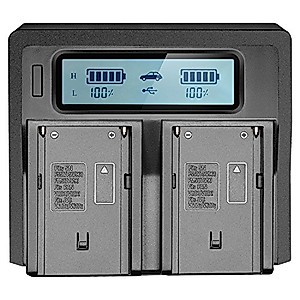 Neewer 2 Pieces 6600mAh Replacement Li-ion Battery for Sony NP-F970 NP-F960 NP-F975 NP-F570 and LCD Dual Charger, Fit for Neewer CN160 FW568 F100 F200 FW700 and Other LED Video Light or Monitor
