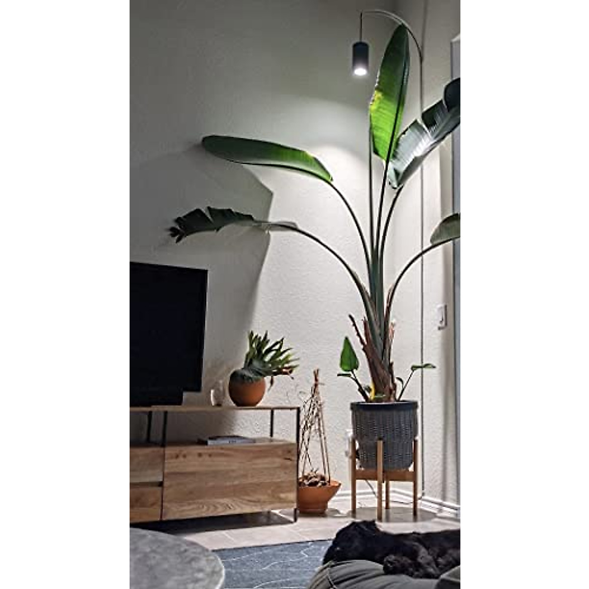 Aspect Large Black Luxury LED Grow Light – for Medium and Large Plants New Large