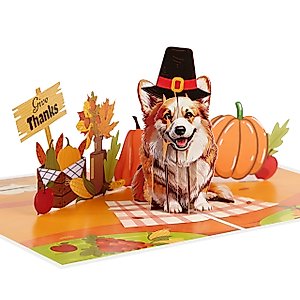 iGifts And Cards Thanksgiving Blessings with Corgi 3D Pop Up Card - 6x8 Greeting Card with Envelope & Notecard, Cornucopia of Thanks, Holiday Season, Autumn Harvest, Gratitude Gift for Dog Lovers