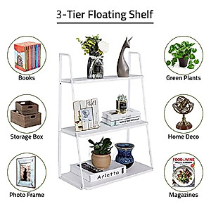 WELLAND 3-Tier Display Wall Shelf Storage Rack Wall Rack Holder Rack (3-Tier, White)