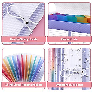 SKYDUE Receipt Coupon Organizer Holder, 13 Pockets Small Accordion File Organizer, Expanding File Folder for Envelope, Bill, Check Tax. 10 * 5.5 Inches