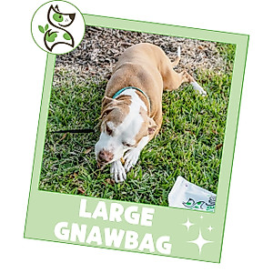 Nature Gnaws Variety Pack for Large Dogs (12 Count) - Bully Sticks, Beef Tendons and Tripe Twists for Dogs - Natural Long Lasting Beef Dog Chew Bones - Rawhide Free