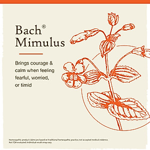 Bach Original Flower Remedies, Mimulus for Facing Fears (Non-Alcohol Formula), Natural Homeopathic Flower Essence, Holistic Wellness and Stress Relief, Vegan, 10mL Dropper