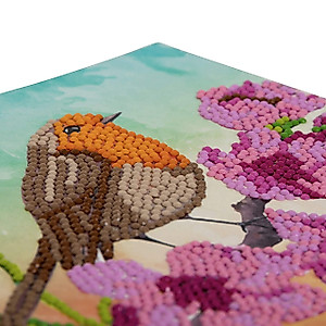 CRYSTAL ART Robin Card Kit 18 x 18 cm