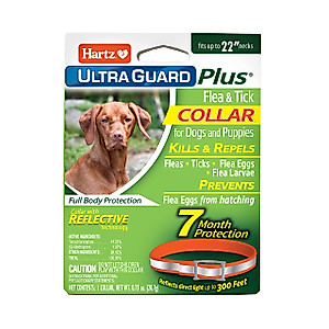 Hartz UltraGuard Plus Reflective Orange Flea & Tick Collar for Dogs and Puppies