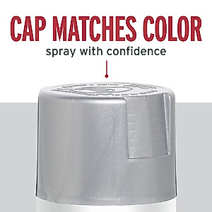 Rust-Oleum 7271830 Stops Rust Metallic Spray Paint, 11 Ounce, Silver